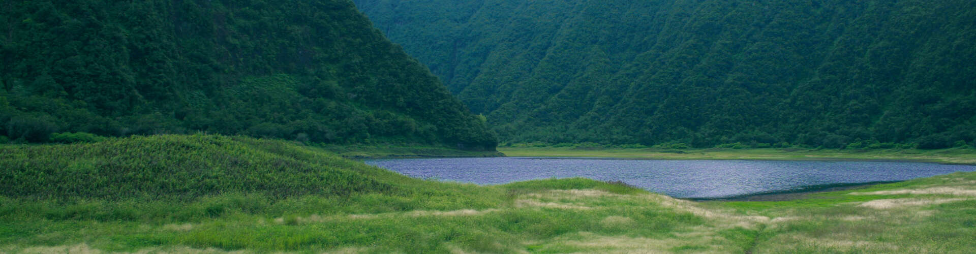 Escape Room 101 - Escapologic